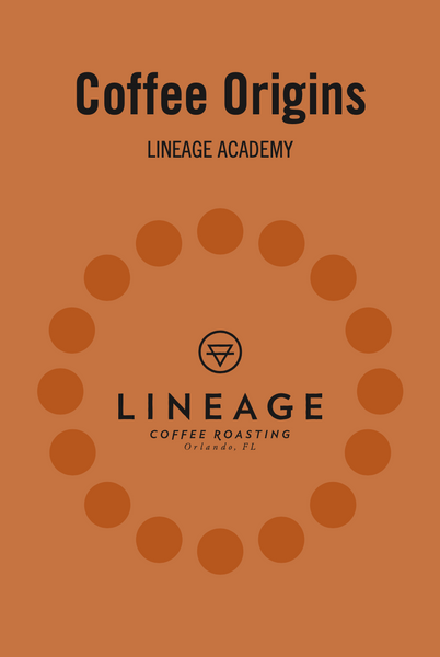 Coffee Origins ☕ Lineage Coffee Roasting