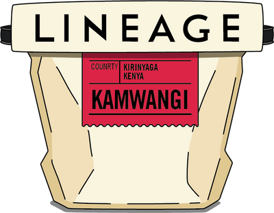 Coffee ☕ Lineage Coffee Roasting